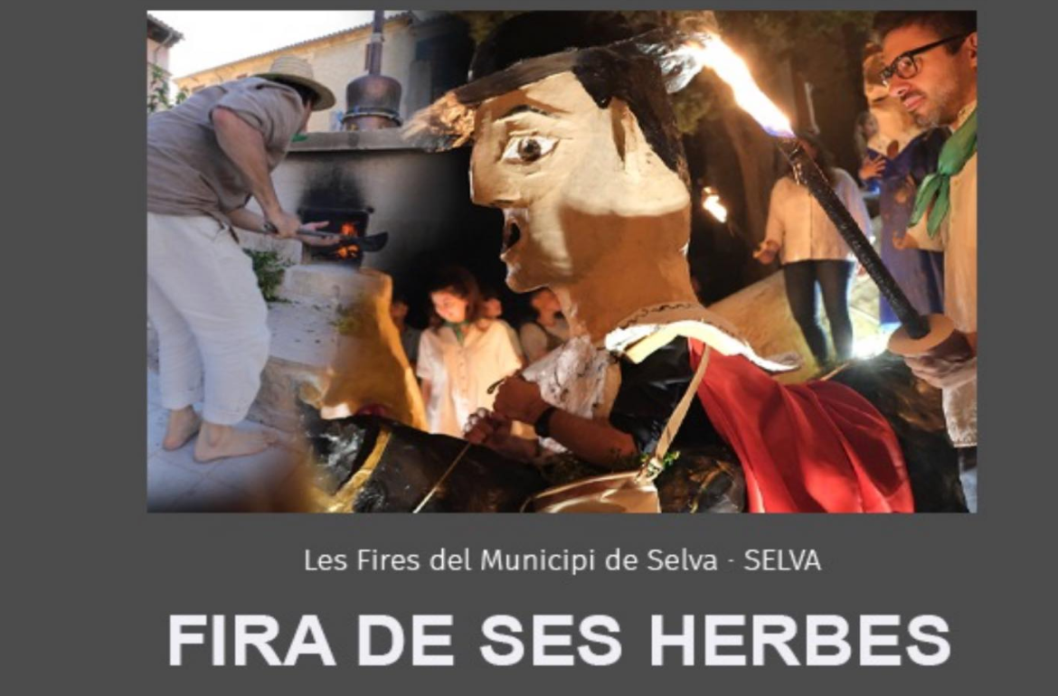 | Ajuntament de Selva